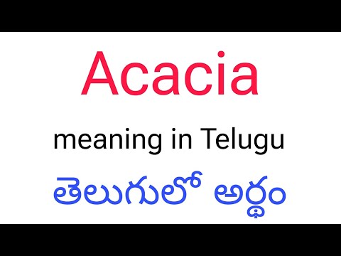 Acacia meaning in Telugu || Acacia తెలుగులో అర్థం || Acacia telugu meaning || Acacia meaning