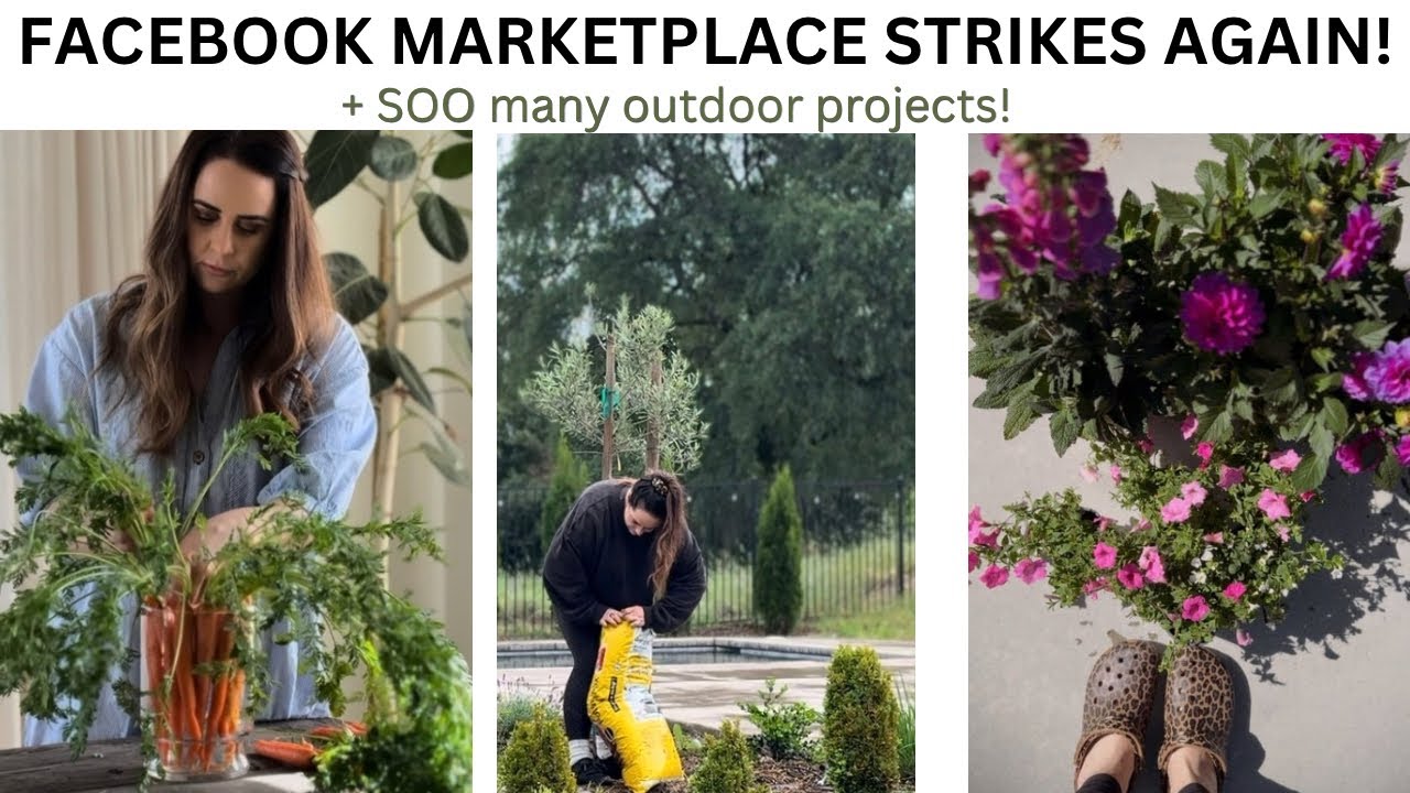 Backyard Makeover on a Budget 🌿 Facebook Marketplace Finds + Dream Garden Transformation