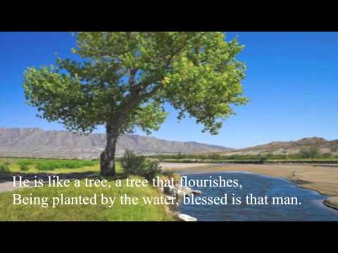 Blessed Is The Man / Psalm 1 – Sunday Songs | mgpcpastor's blog