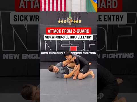 Triangle Choke Jiu Jitsu Instructionals – Entries, Control, and ...