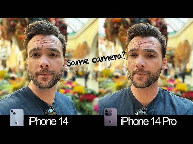 iphone 14: Pixel 7 vs iPhone 14 : Which flagship to buy for Holiday ...