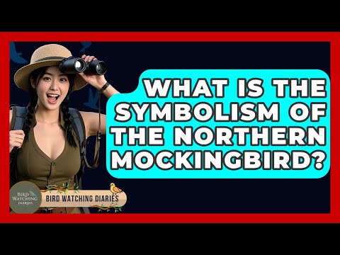 What Is The Symbolism Of The Northern Mockingbird? - Bird Watching Diaries