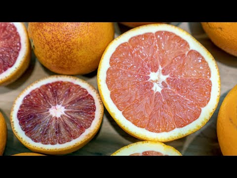 Oranges NOT orange inside? Cara Cara and Blood Orange Taste-test.