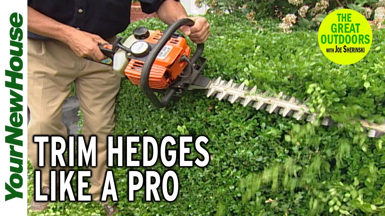 Hedge Trimming Tips - The Great Outdoors
