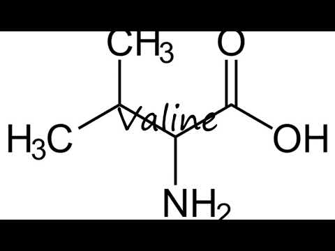 How to Pronounce Valine?