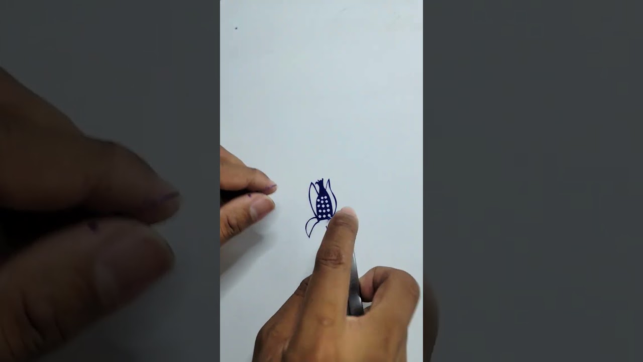 Fruit vector #stickers #stickergame #stickerart #stickerdrawing #art #artdrawing