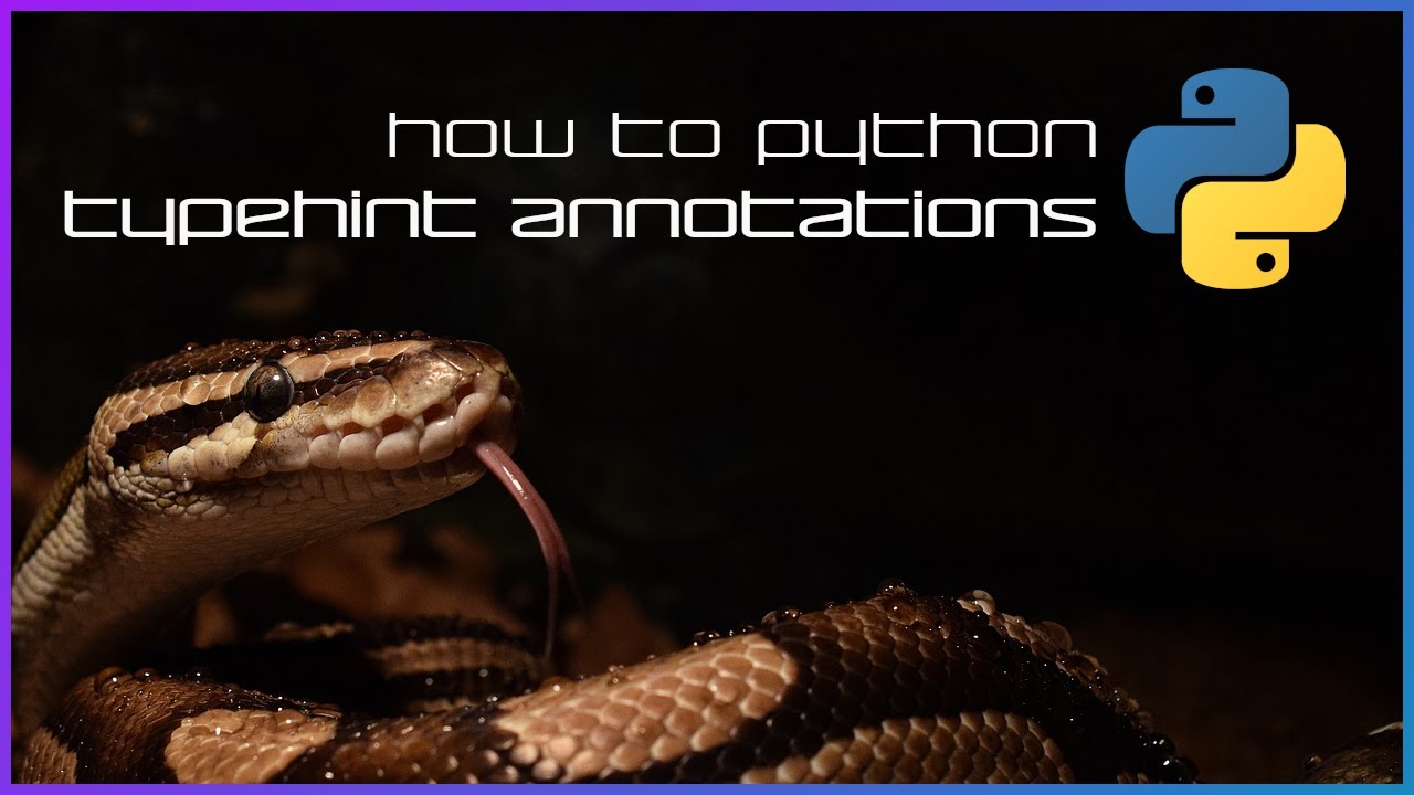 Typehint annotations - How to Python