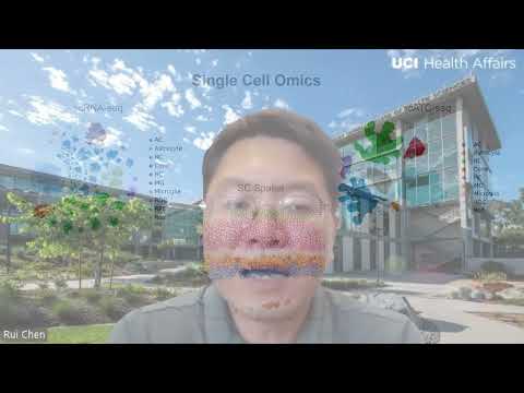 Rui Chen, PhD