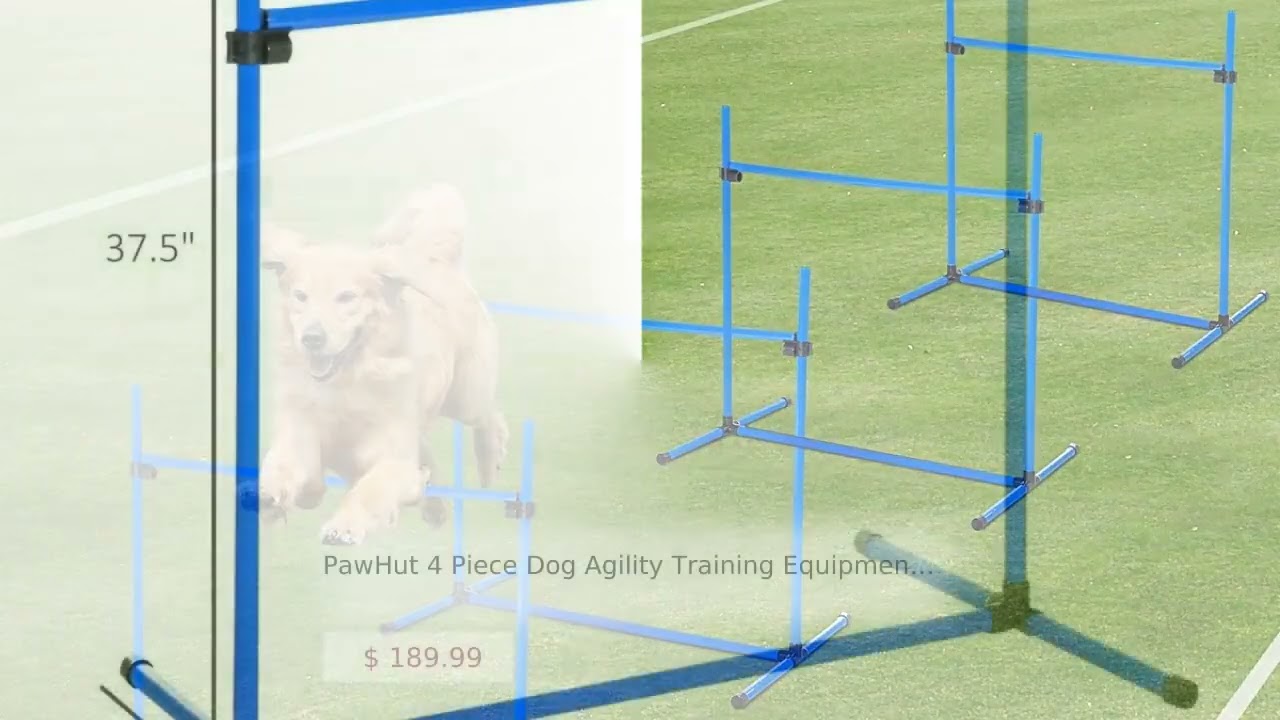 PawHut 4 Piece Dog Agility Training Equipment with Adjustable Height Jump Bars