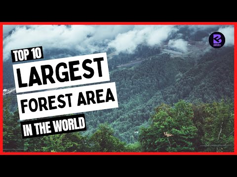 Top 10 Countries With largest Forest Area in the world, 2023 #top10 #latest #countries