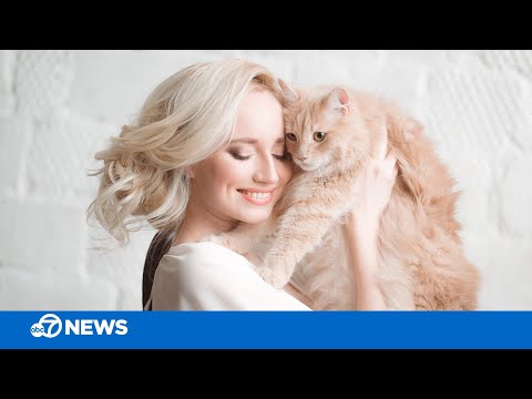 Crazy Cat Lady Myth