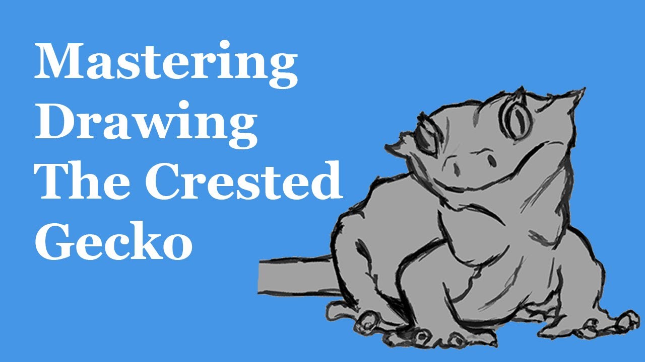 Mastering Drawing The Crested Gecko