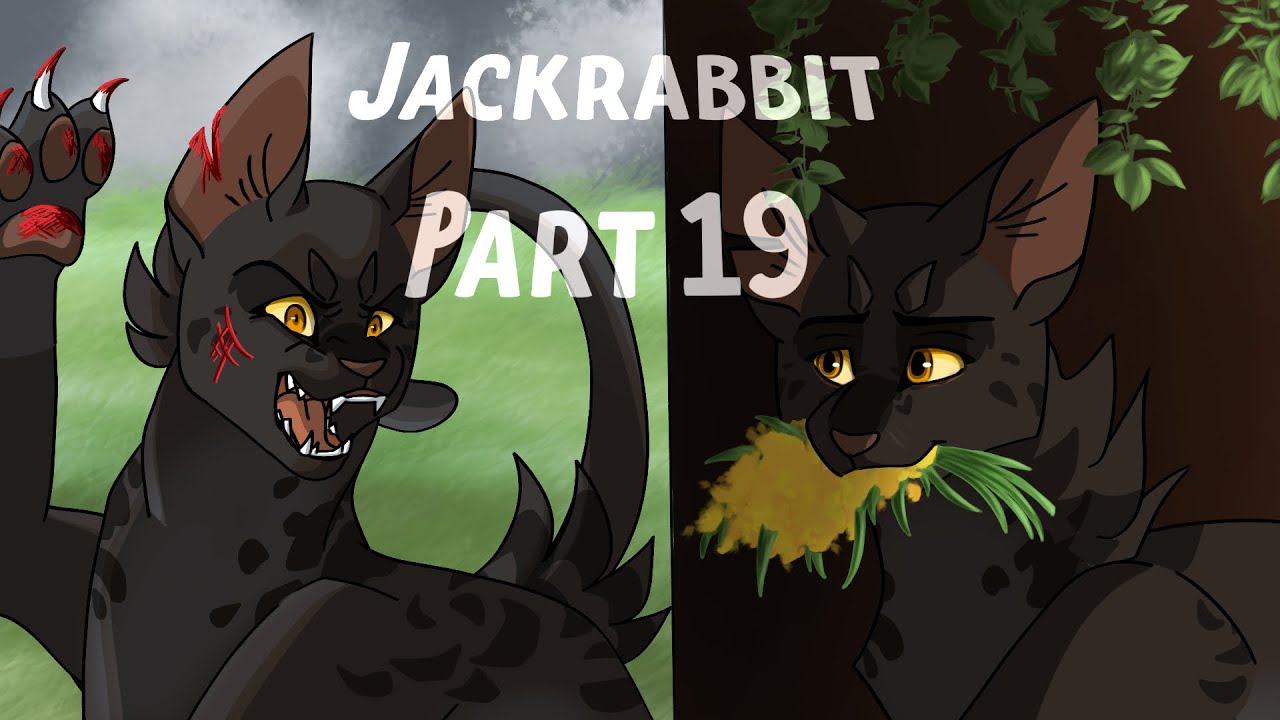 Jackrabbit: Windclan appreciation MAP part 19
