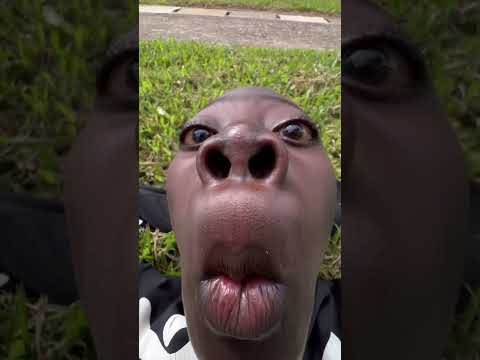 Funny kid tenge tenge