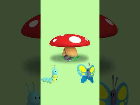 Above & Below - Mushroom - Quiz Bits #babyfirsttv