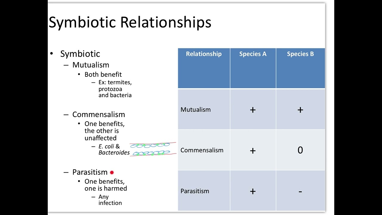 Microbial Interactions--Chapter 11
