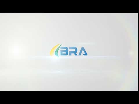 Logo BRA Visual Effect