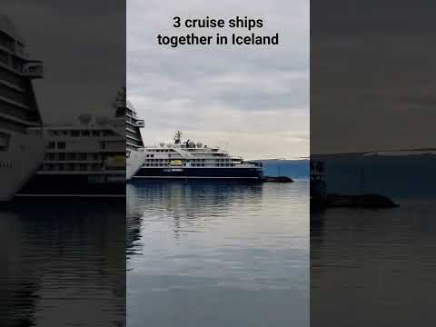 3 Cruise Ships in Iceland #viral #travel #cruiseship #trendingshorts #ship #seaman #viralvideo