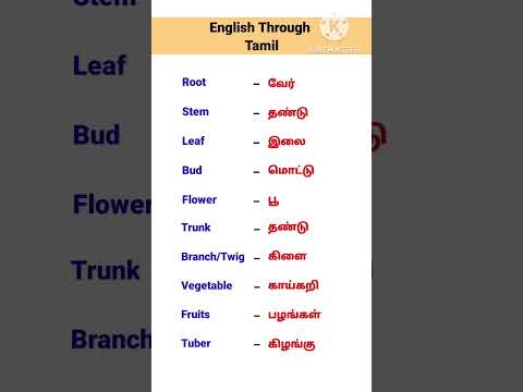 Parts of plants in English #shorts