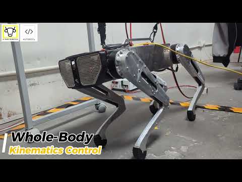 Whole Body Control Dynamo One