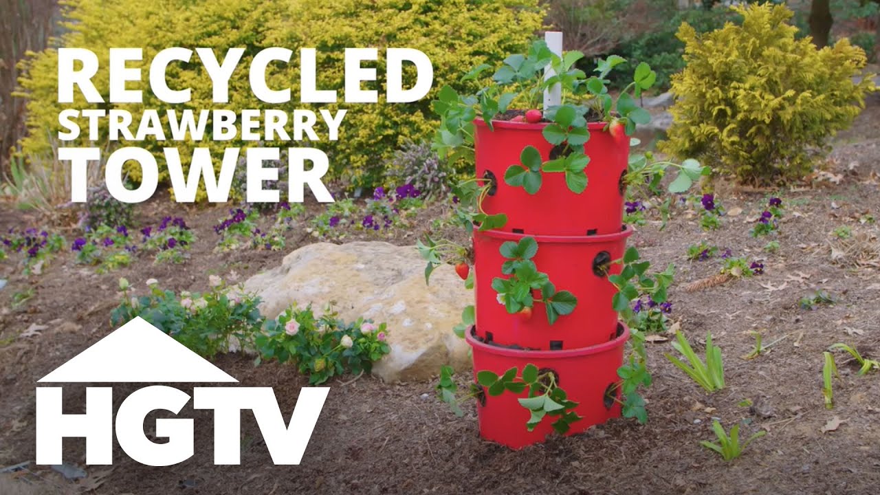 DIY Recycled Strawberry Tower | HGTV