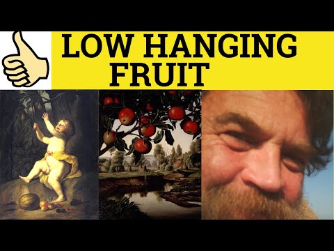 🔵 Low Hanging Fruit - Metaphors and Idioms - Low Hanging Fruit Meaning - Low Hanging Fruit Examples