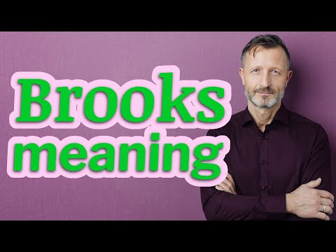 Brooks | Meaning of brooks ????