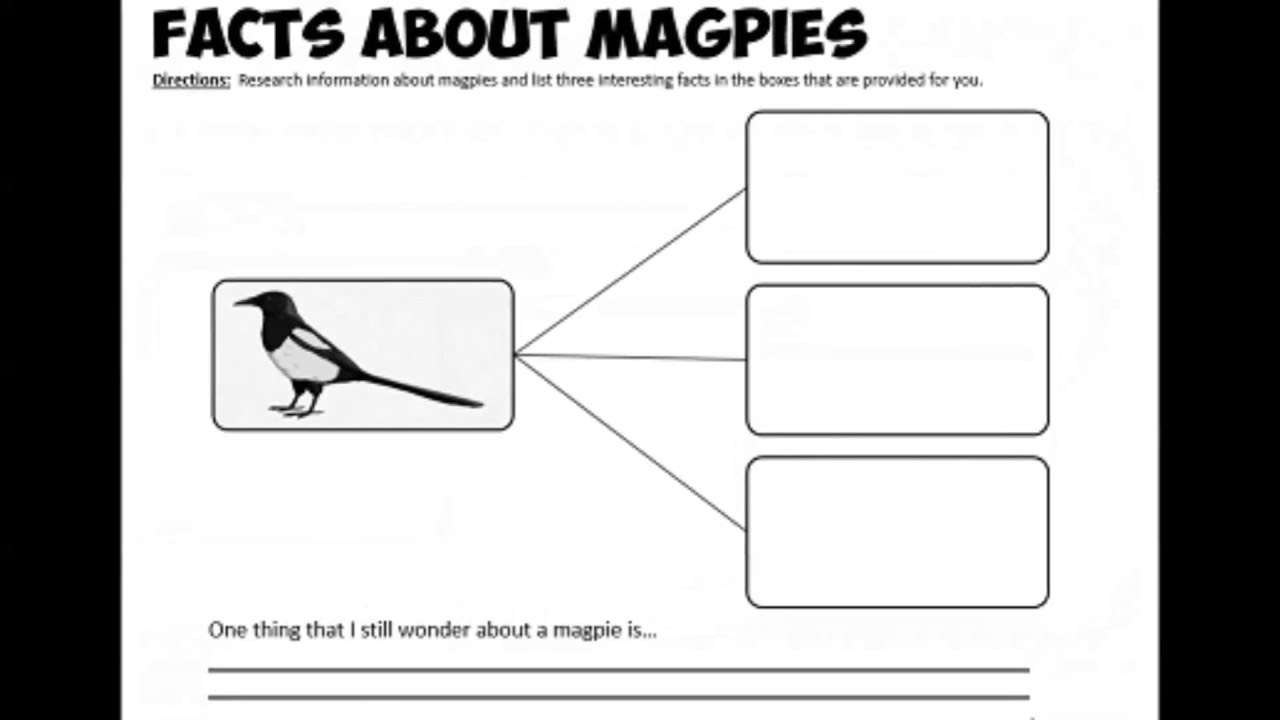 UPDATED FOX Lesson Activities with Interactive Notebook / Lapbook Templates