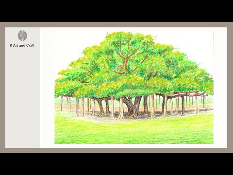 How to draw easy banyan tree with oil pastel/ step by step very easy banyan tree drawing/ tree draw