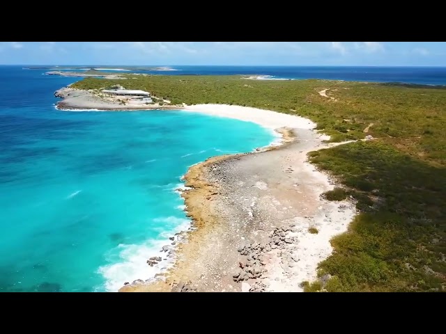 Home - Harry's Taxi And Tours Anguilla