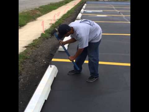 IMG 1446