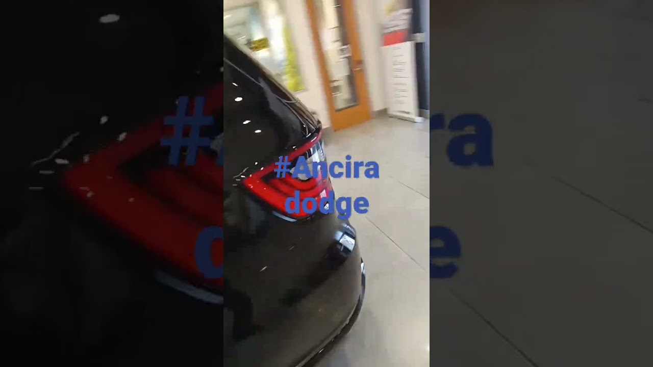 come visit! Carlos Mendez Fleet 2104301404