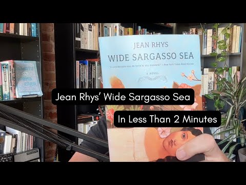 Jean Rhys' Wide Sargasso Sea In Less Than 2 Minutes