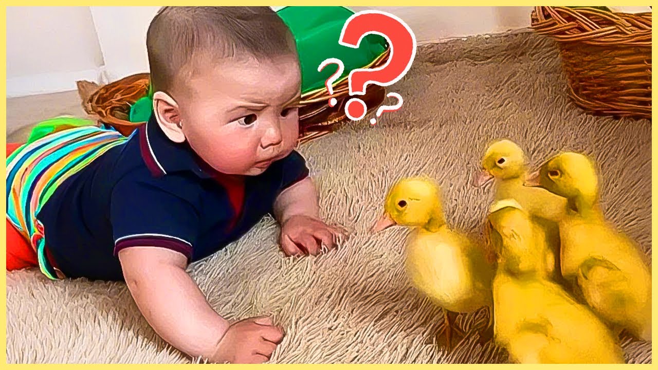 ULTIMATE Baby Funny Moments: 1 Hour of Cutest Baby Video