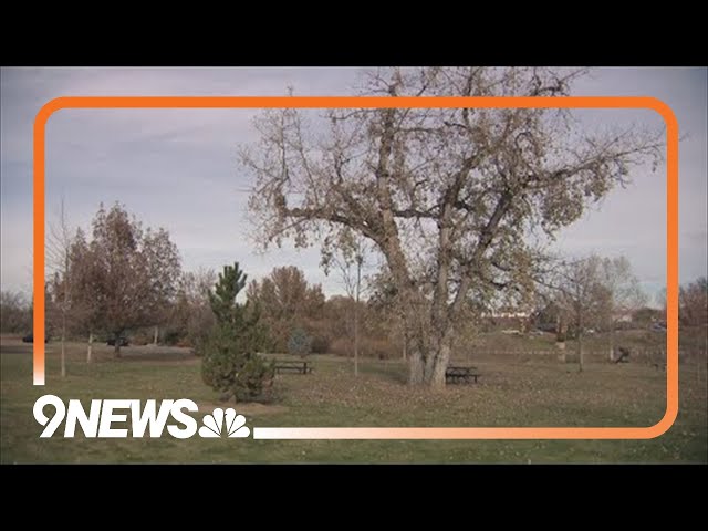 What did Dylan Miller do? Loveland police officer arrested over ...