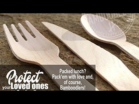 Top 10 Disposable Plates Bowls and Cutlery You Can Buy June 2023