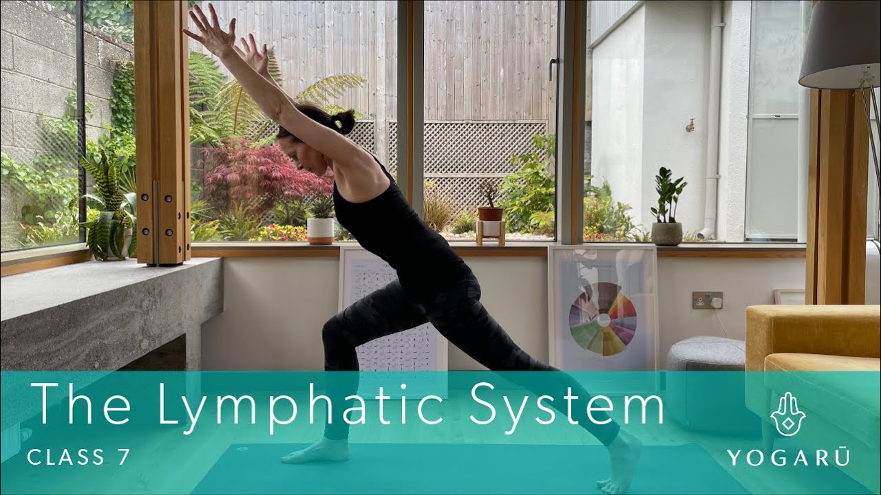 The Lymphatic System - Class 7