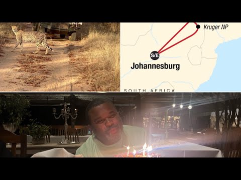 NatGeo Journeys with G Adventures Tours, Johannesburg SA, Kruger NP and Karongwe Private Reserve.
