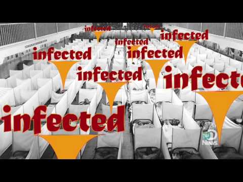 The Doomsday Virus: 3 Questions | Seaweed Nutrition Data and ...