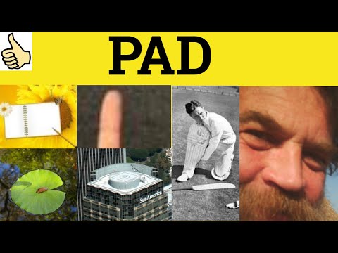 🔵 Pad - Pad Meaning - Pad Examples - Pad Definition - Three Letter Words