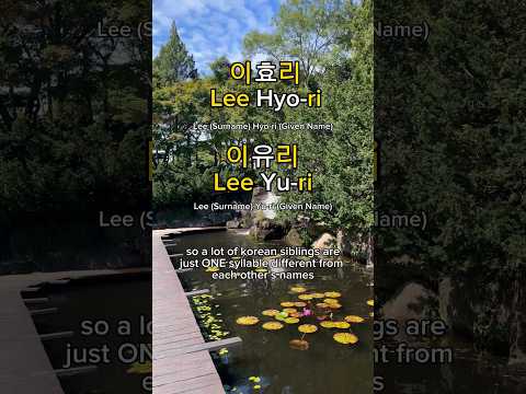 Understanding Korean Names 🇰🇷🫨
