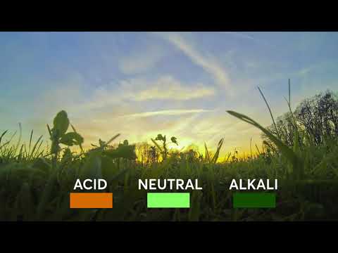 Unearth Soil Science - Soil chemistry