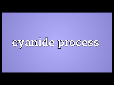 Cyanide process Meaning