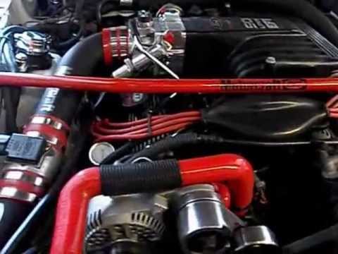 SICKSPEED CUP WASHERS