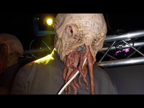 Weirdest Squids and Octopuses in the World
