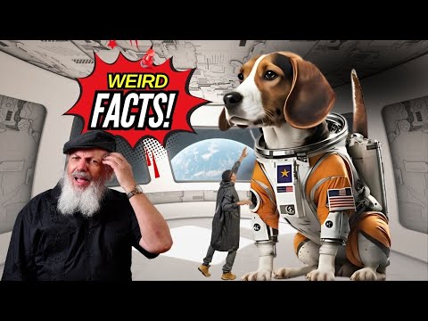 Top 10 WEIRD FUN FACTS About Dogs You Didn’t Know