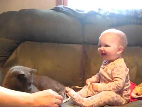 igrice torta igre pink panter | Cool besplatne igrice winx igrice za dijecu