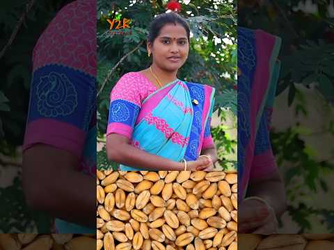 Homemade Wheat Flour | கோதுமை மாவு | #shorts #shortsfeed #youtubeshorts #homemade #wheatflour