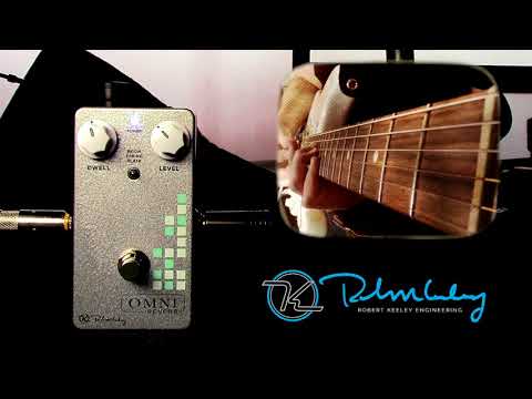 Keeley Omni Reverb 2017 - Present - Silver | Reverb