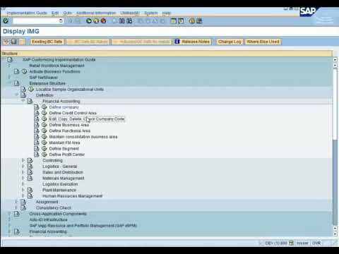 Define Company Code in SAP